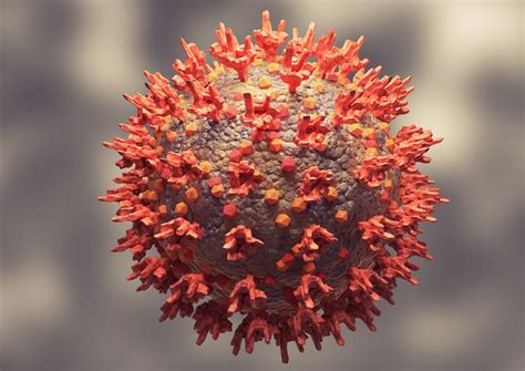 Effectiveness Of Anti Sars Cov 2 Immunoadhesin Against Omicron And