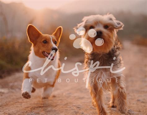 Chispi Projects Photos Videos Logos Illustrations And Branding