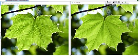 How Can I Avoid The Pixelation Of Imagebrush · Avaloniaui Avalonia