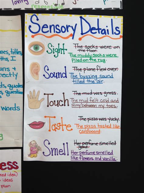 Sensory Details Anchor Chart