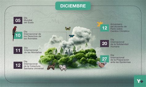Calendario Ambiental 2024