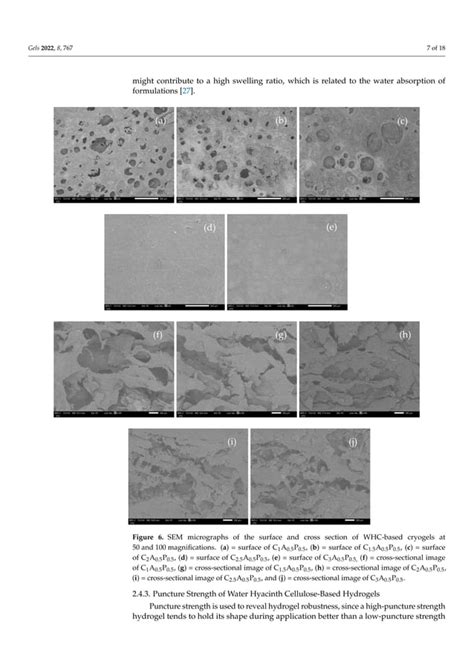 Cellulose Based Gels Pdf