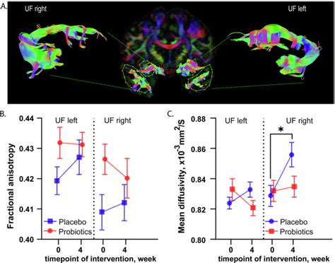 Uncinate Fasciculus Uf Tract Dti Tractography A Virtual Dissection Download Scientific