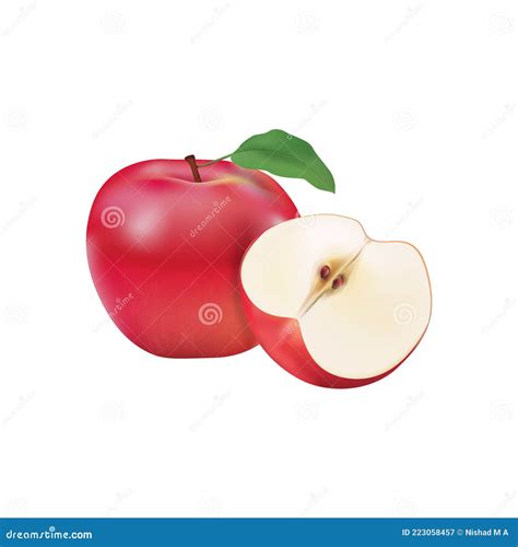 Apple And Slice Vector Drawing Stock Vector Illustration Of Fresh Dish 223058457