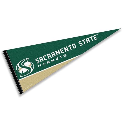 Sacramento State College Logo