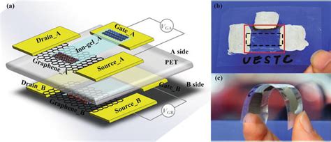 Graphene Field Effect Transistor For Terahertz Modulation Intechopen