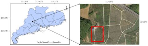 Remote Sensing Free Full Text Extraction Of Citrus Trees From Uav Remote Sensing Imagery