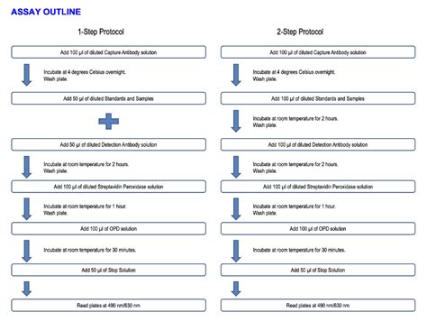Understanding The Hook Effect In A One Step Sandwich Elisa Chondrex