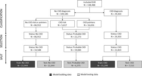 Schematic Representation Of Ehr Processing Starting From The Ehr Download Scientific Diagram