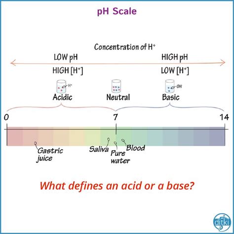 Understanding The Ph Scale