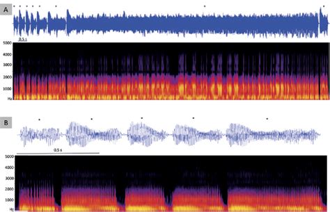 Oscillogram Above And Spectrogram Below Of A Female Attraction Download Scientific Diagram
