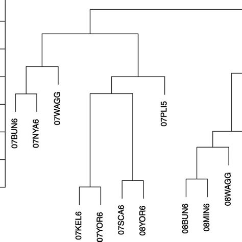 Dendrogram Of The Dissimilarity Matrix Of The Additive Effects For Oil Download Scientific