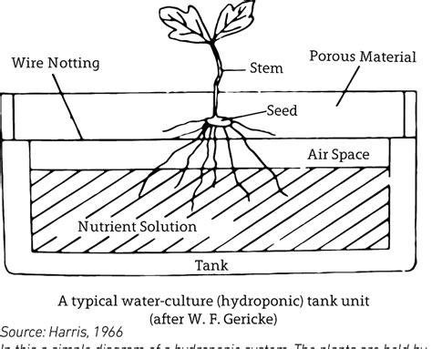 Hydroponic System Schematic