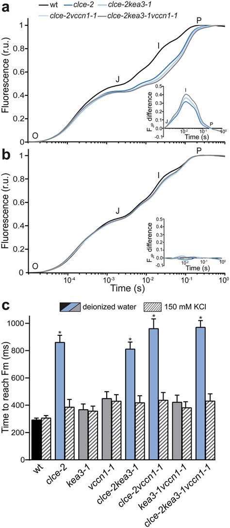 Fast Chlorophyll A Fluorescence Ojip Transients Wild Type Plants Wt Download Scientific