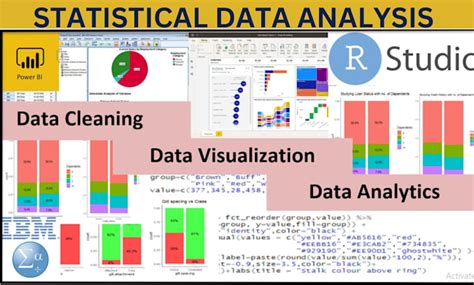 Aid You In Statistical Data Analysis In R Programming Spss And Stata By Niickanderson Fiverr