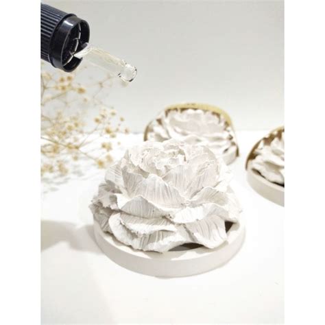 Jual Free Essential Oil 5ml Solid Aromatheraphy Diffuser Essensial Oil Diffuser Diffuser