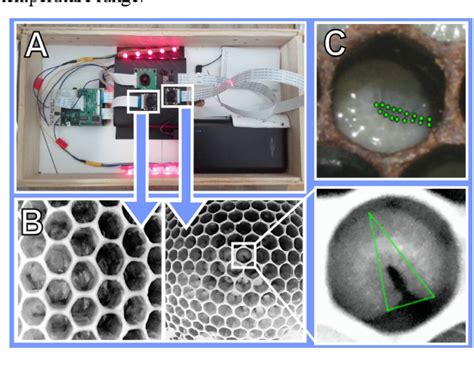 Figure 1 From Bio Hybrid Systems For Ecosystem Level Effects Semantic Scholar