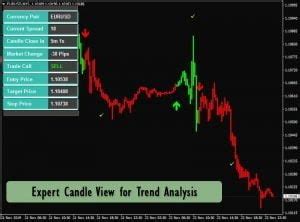REVERSAL SCALPING SYSTEM Indicator For FREE Download