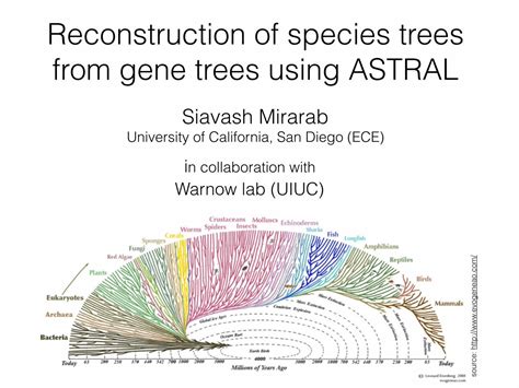Pdf Reconstruction Of Species Trees From Gene Trees Using