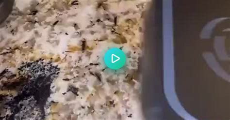 Magnetic Stirring Album On Imgur