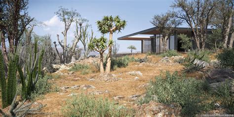 Plant Models Vol 130 2025 Free Daz 3d Models