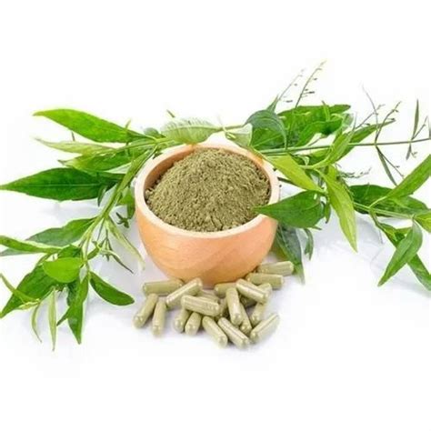 Andrographis Paniculata Extract Powder At Rs 800 Kg Hyderabad Id 4855031662