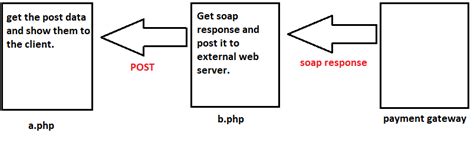 Post Data And Redirect To External Web Server With Curl In Php