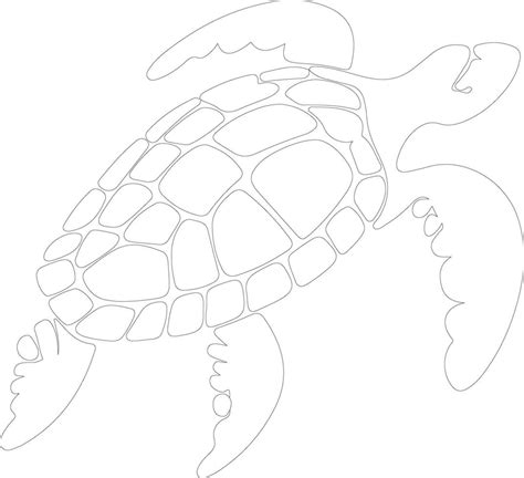 Sea Turtle Outline Silhouette 38486521 Vector Art At Vecteezy