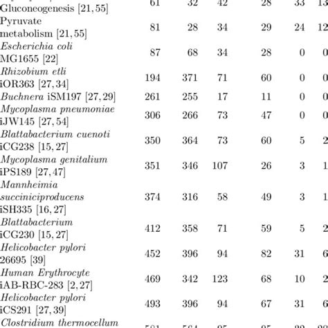 Example Metabolic Network With Set Of Internal Metabolites M {a B Download Scientific