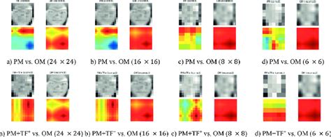 Class Activation Map Of Pm Vs Om Methods Top And Pmtf Vs Om