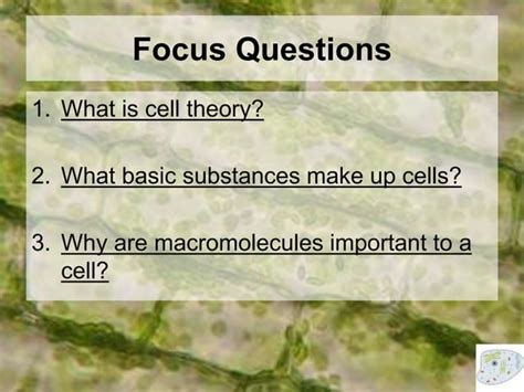 2 1 Cells And Macromolecules K Shared Pptx Biological Sciences Science