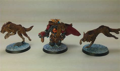 Group Shot Group Shot Gallery Dakkadakka