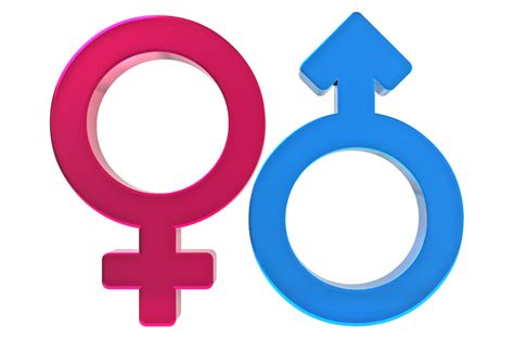 Male Female Sex Sign Gender Symbols Illustration 3d Rendering 3d