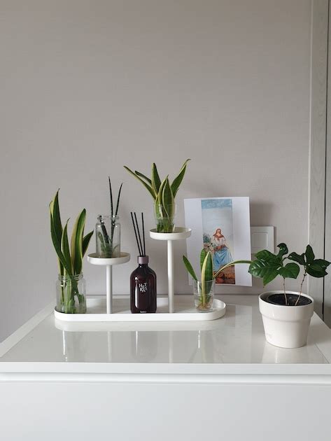 블루리빙 님의 라이프스타일 라이프스타일 슈퍼앱 오늘의집