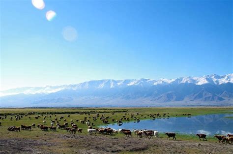 巴里坤图片 巴里坤县景 风景图片 第2页 大山谷图库