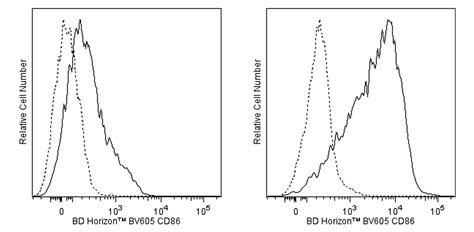 Bv605 Rat Anti Mouse Cd86