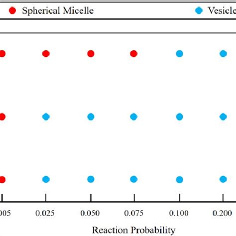 Results Of Dynamic Self Assembly Of Models 2 3 2 4 And 3 4 Under