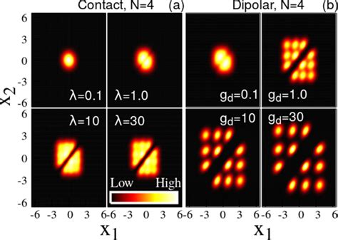 Sorting Fermionization From Crystallization In Many Boson Wavefunctions Scientific Reports