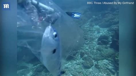 비닐봉지 속에 갇힌 물고기 구해준 스쿠버다이버 서울pn