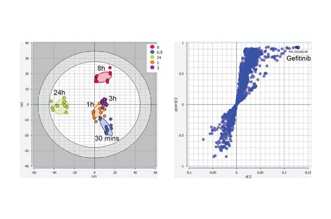 A Rapid Workflow Driven Approach To Discovery Lipidomics Using Ion