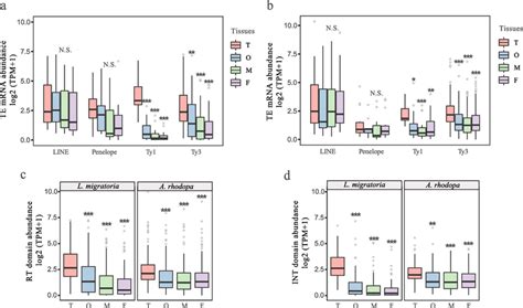 Transposition Activity Of Tes The Transcript Abundance Was Normalized