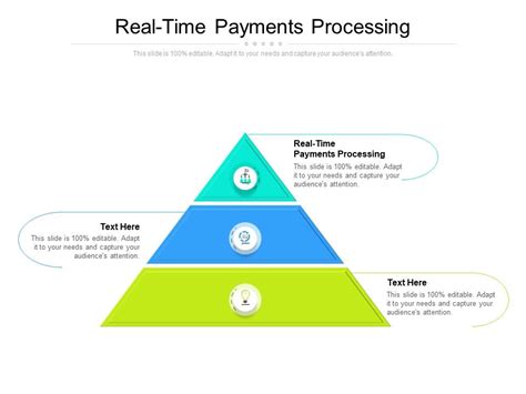 Real Time Payments Processing Ppt Powerpoint Presentation Show Picture Cpb