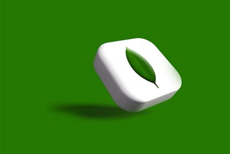 Crear Una Base De Datos En Mongodb 6 Aspectos Críticos Para Conocer