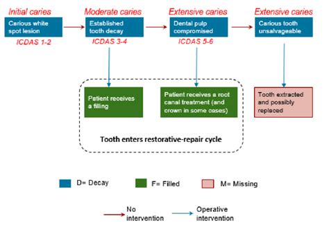 Framework For Analysis Download Scientific Diagram