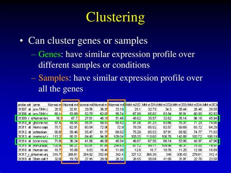 Microarray Clustering Ppt Download
