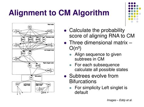 Ppt Rna Secondary Structure Prediction Powerpoint Presentation Free Download Id1265755