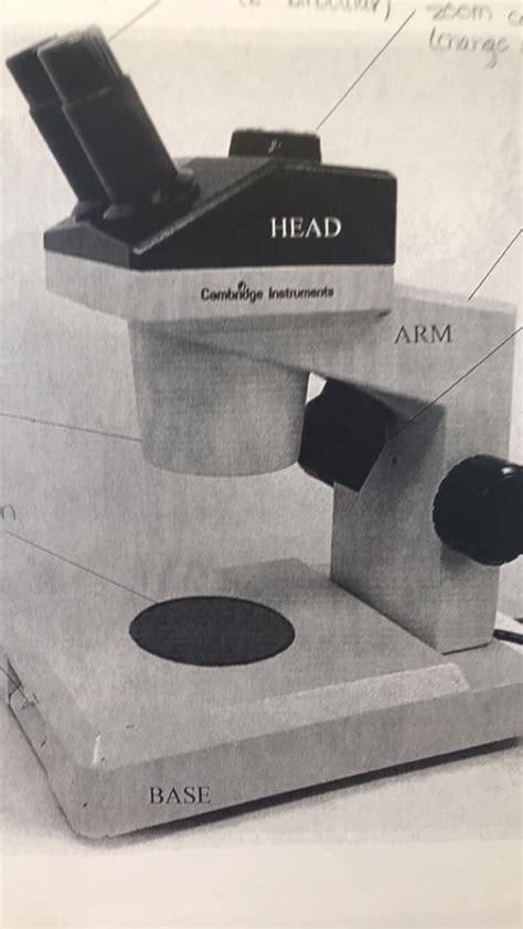 Dissecting Microscope Diagram Quizlet