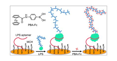 Boronate Affinity Amplified Electrochemical Aptasensing Of