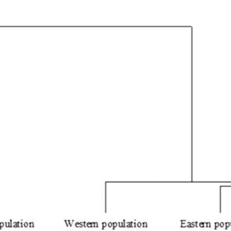 Dendrogram Of Hierarchical Cluster Analysis Based On Euclidean