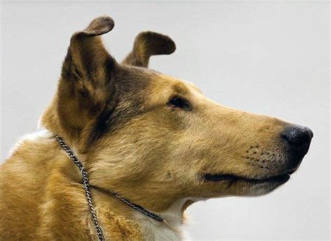 Inquiries Welcome Inquiries Welcome